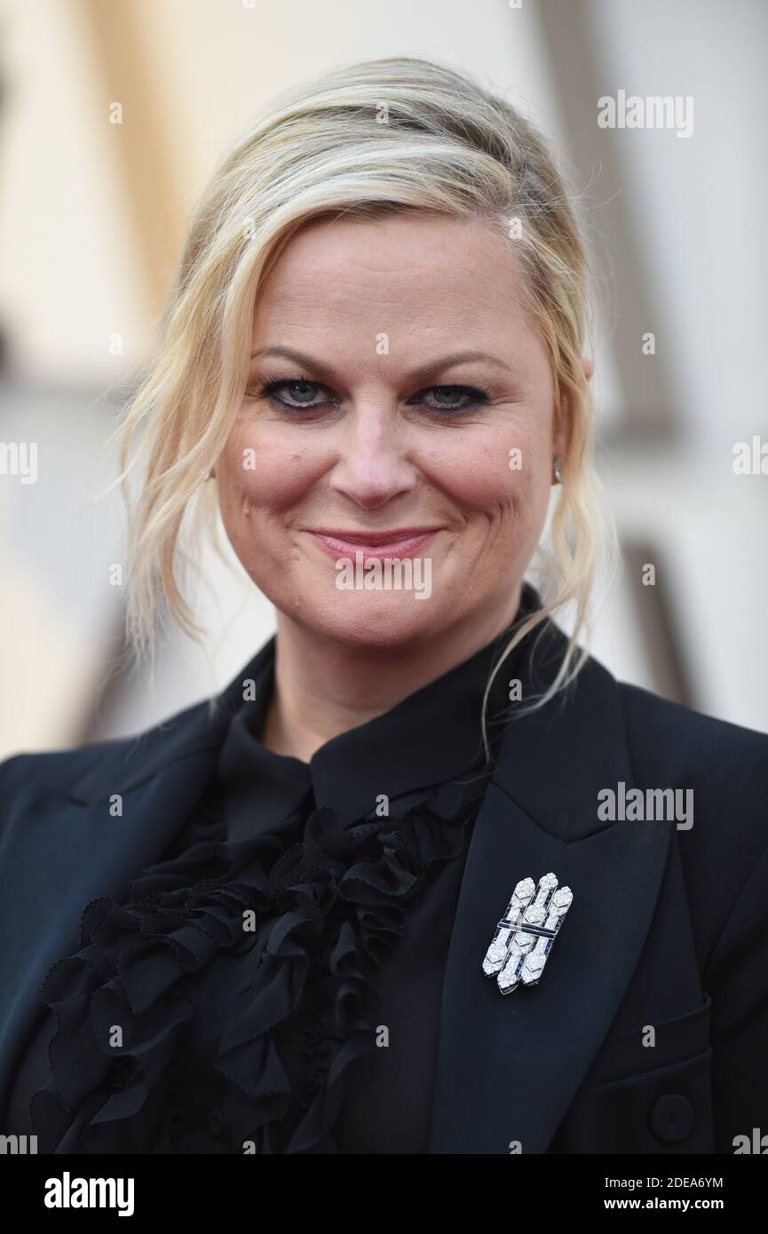 Amy Poehler walking the red carpet as arriving to the 91st Academy ...