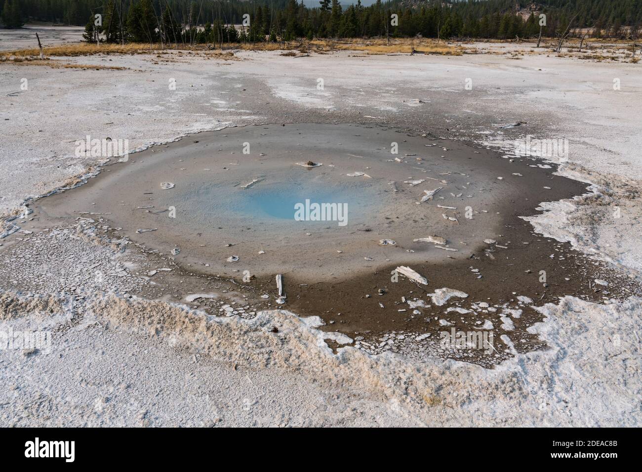 The opalescent blue water of the pool of Pearl Geyser in the Back Basin ...