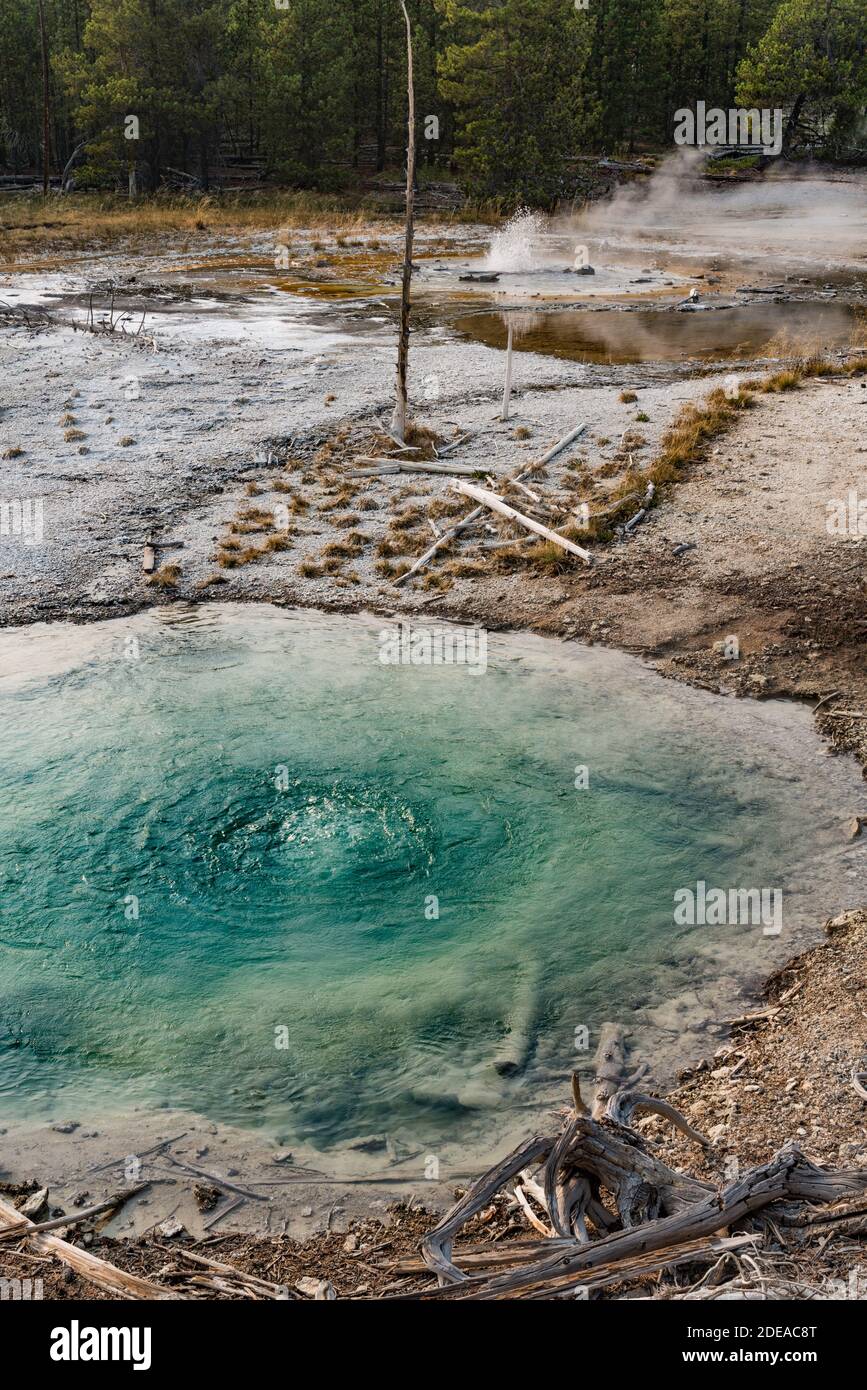 Branch Spring bubbles as the Minute Geyser erupts in the Back Basin of ...