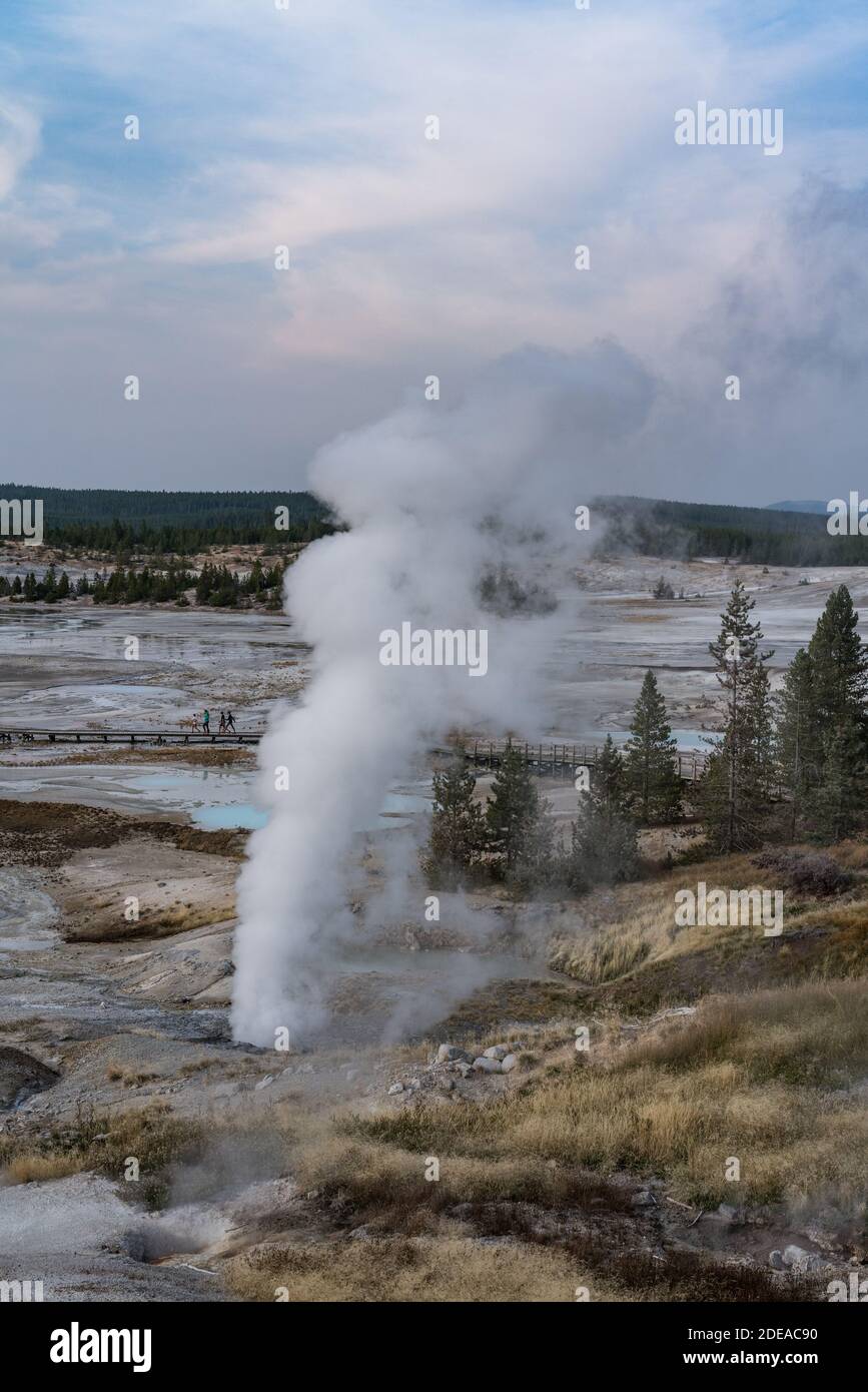 Ledge Geyser in the Porcelain Basin of the Norris Geyser Basin in ...