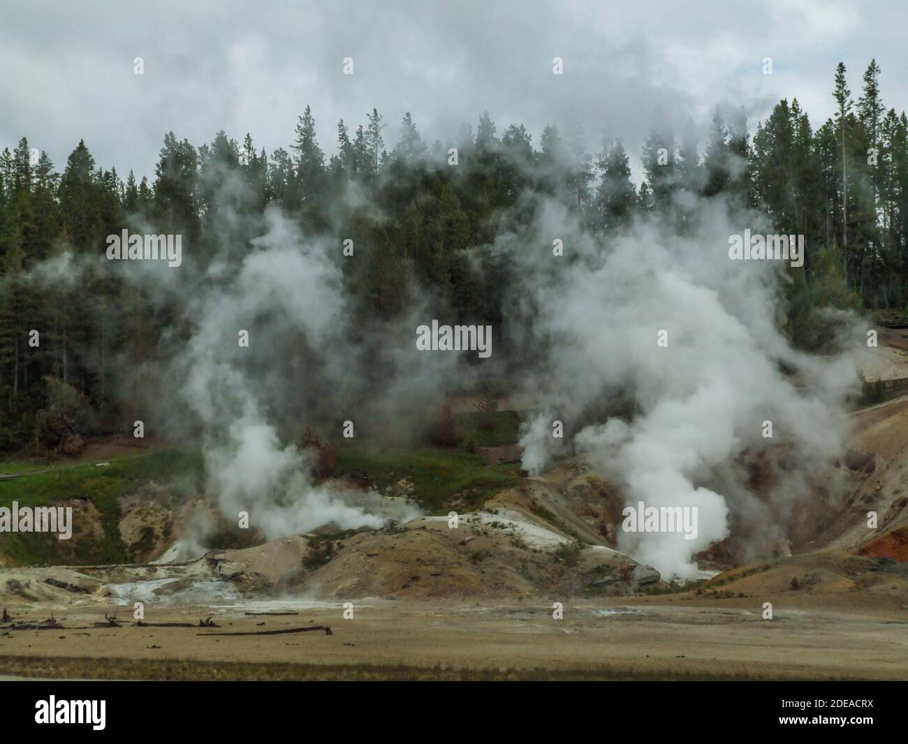 Ledge Geyser and the Black Growler Steam Vent in the Porcelain Basin ...