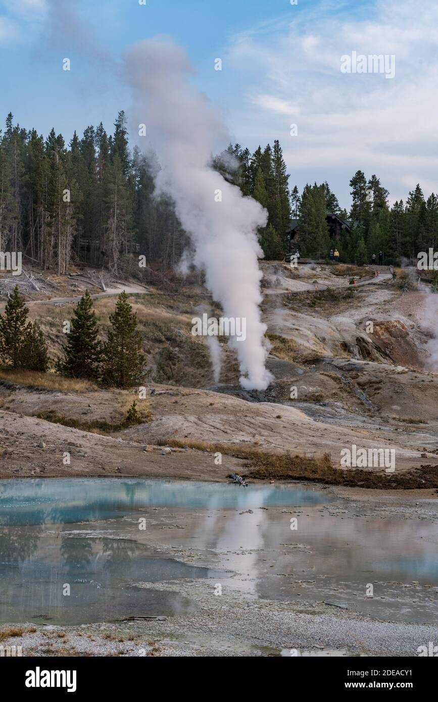 The Scummy Pond and Ledge Geyser in the Porcelain, Norris Geyser Basin ...