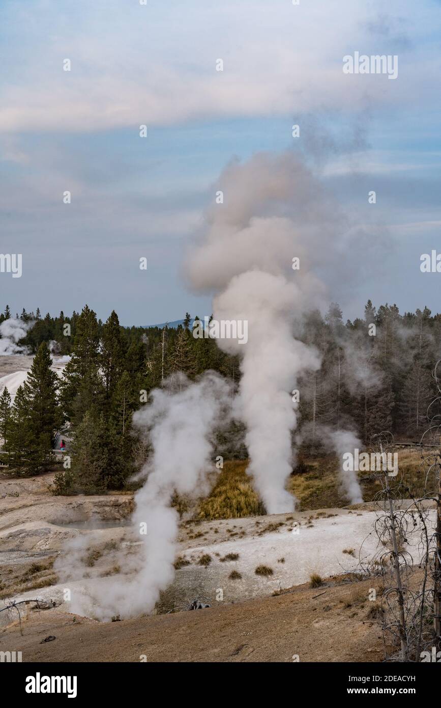The Black Growler Steam Vent and Ledge Geyser in the Porcelain Basin of ...