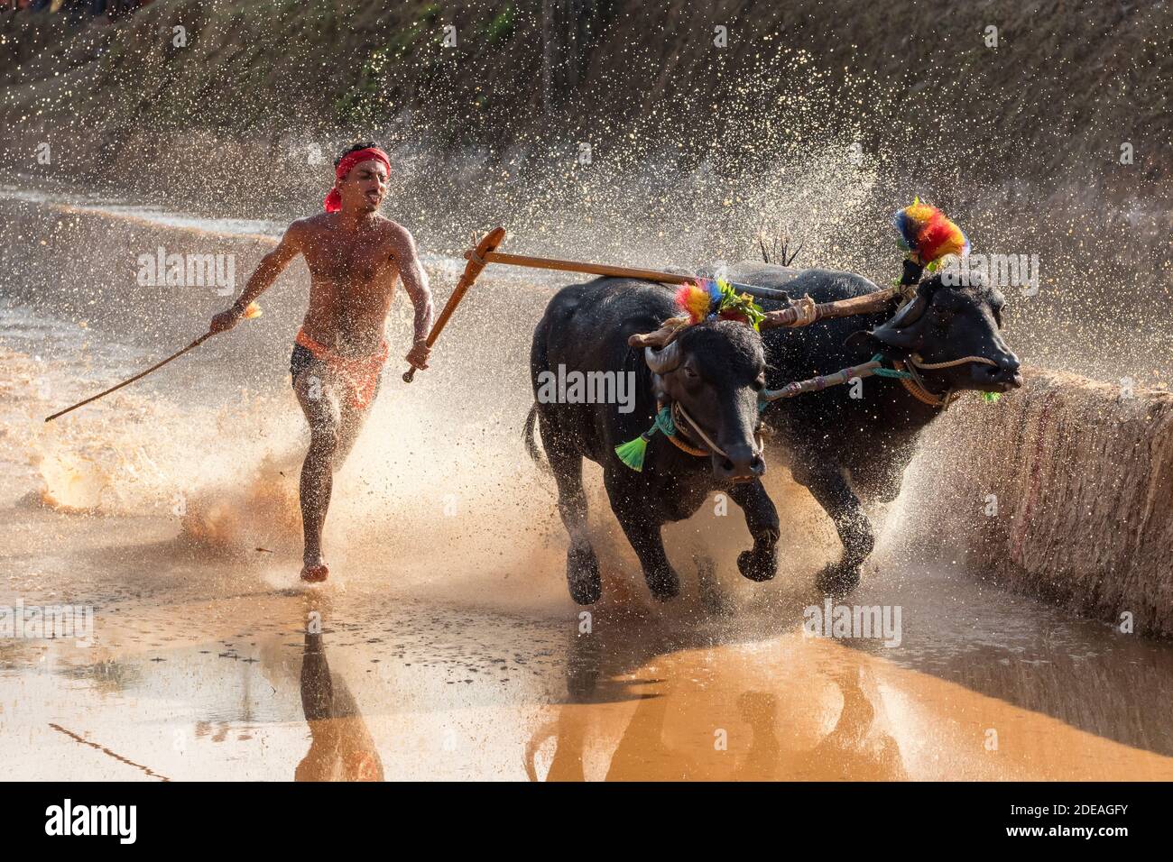 Kambala hi-res stock photography and images - Alamy