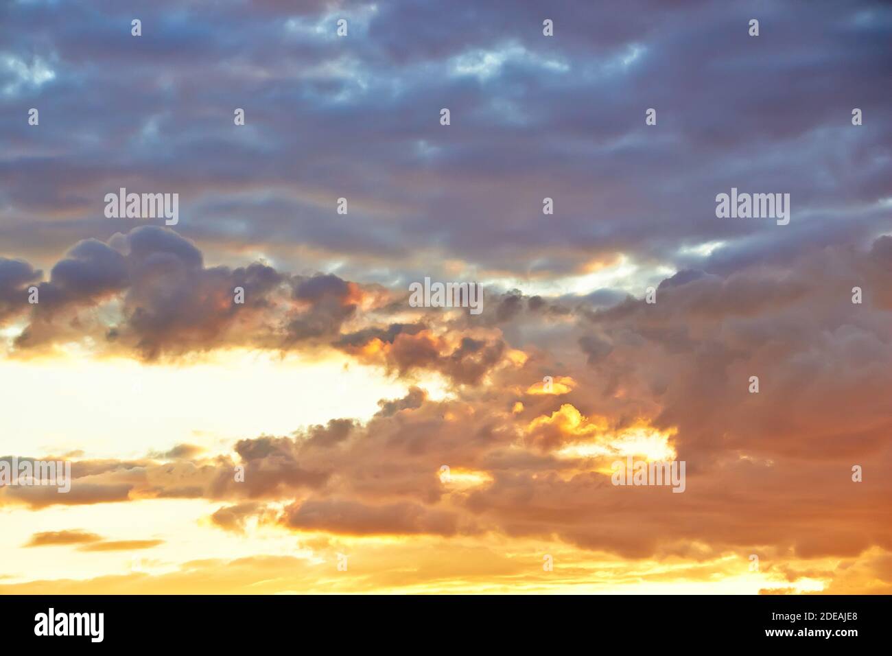 Without birds hi-res stock photography and images - Alamy