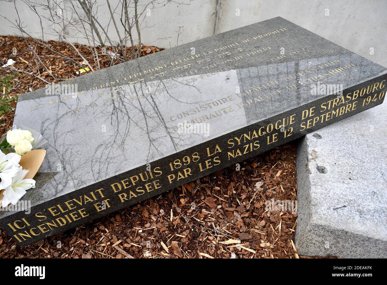 Burnt Hitler High Resolution Stock Photography and Images - Alamy