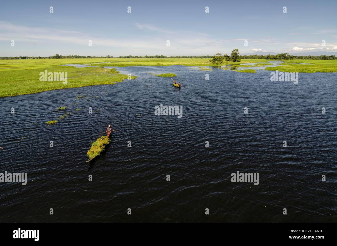A Mishing tribe woman is carrying out wetland grasses on her boat from wetlands near Doriya ...