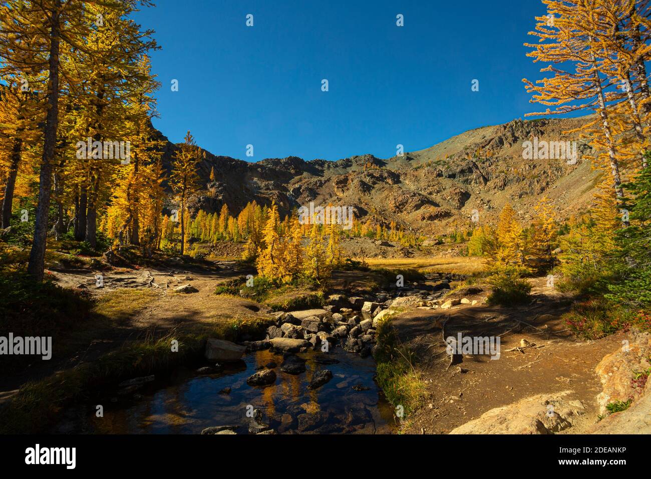 Range of colors hi-res stock photography and images - Alamy