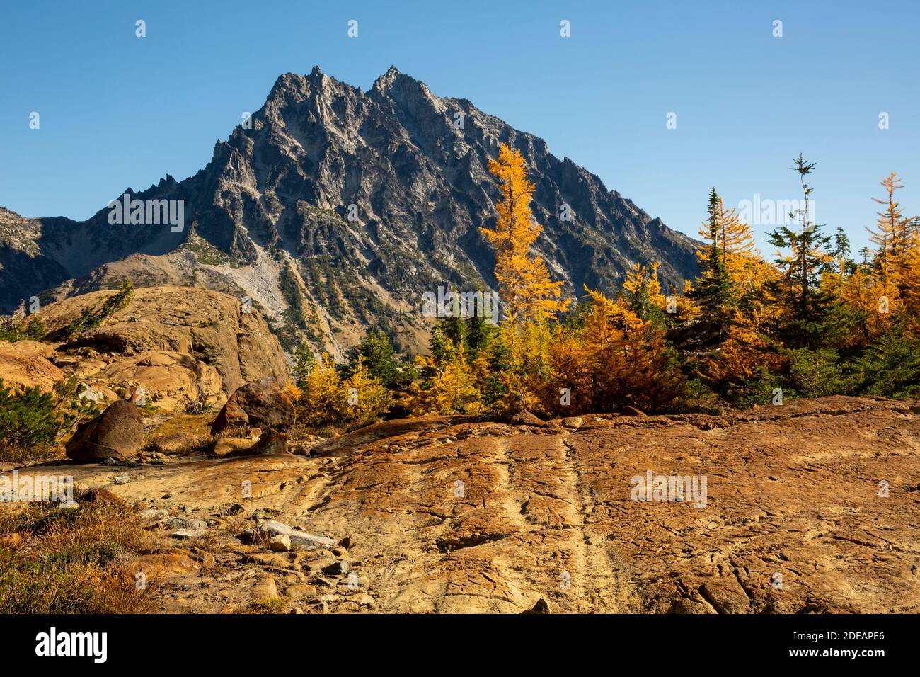 WA18592-00...WASHINGTON - View of Mount Stuart from the Ingalls Way ...