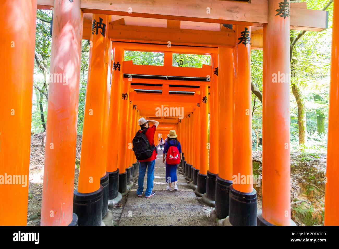 The sacred Fushimi Inari Taisha in Kyoto, Japan with its series of ...