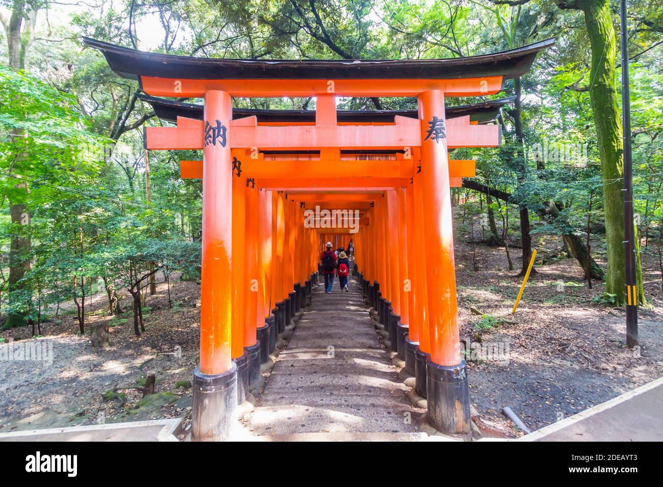The sacred Fushimi Inari Taisha in Kyoto, Japan with its series of ...