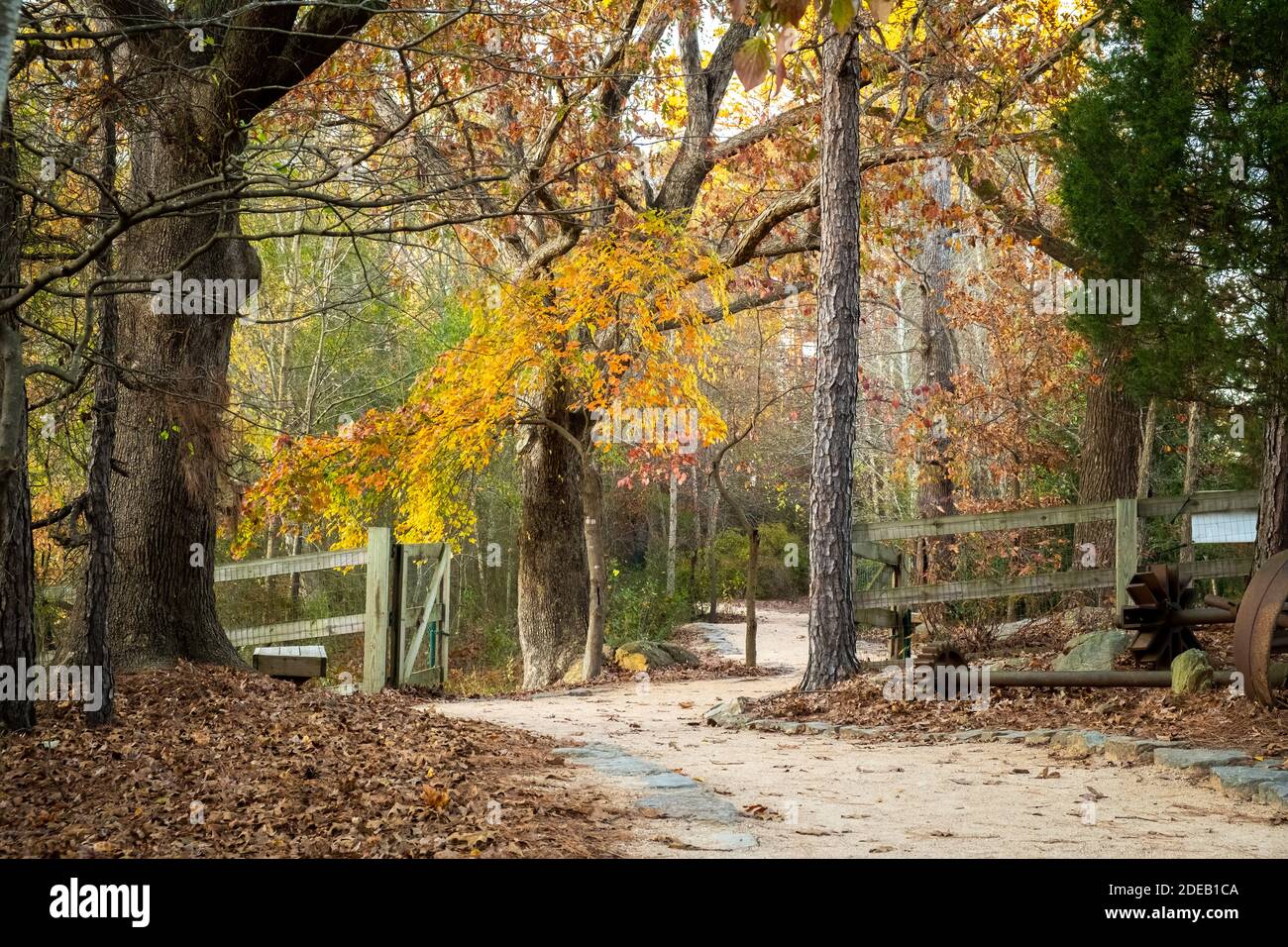 Autumn vibes at Historic Yates Mill County Park. Raleigh, North ...