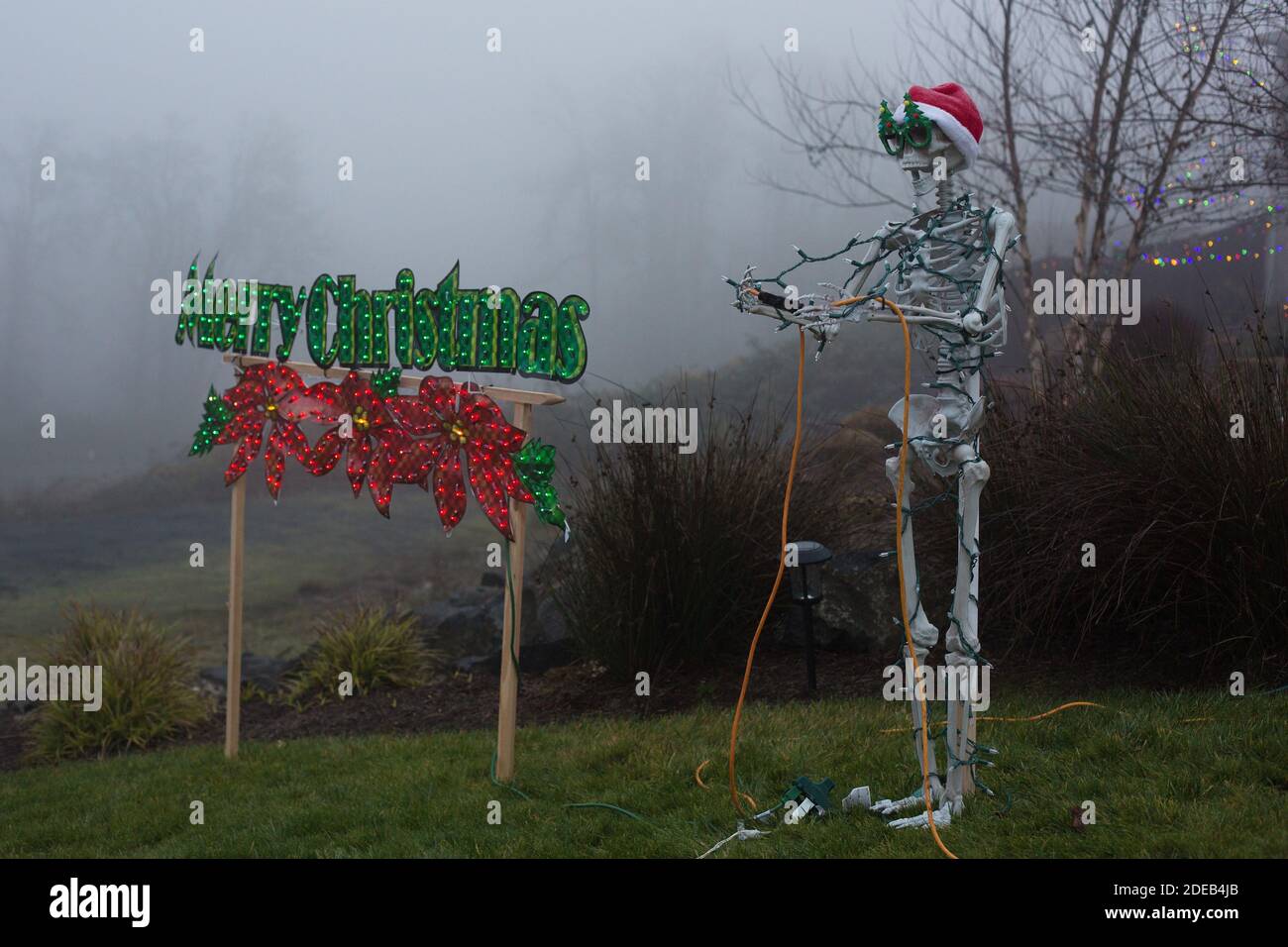 A life size skeleton decorated for Christmas in Eugene, Oregon, USA ...