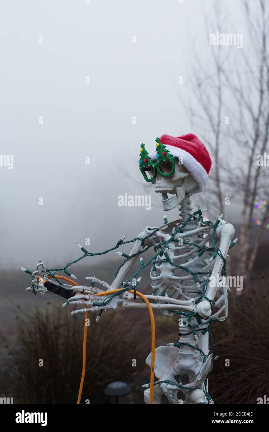 Skeleton Funny High Resolution Stock Photography and Images - Alamy
