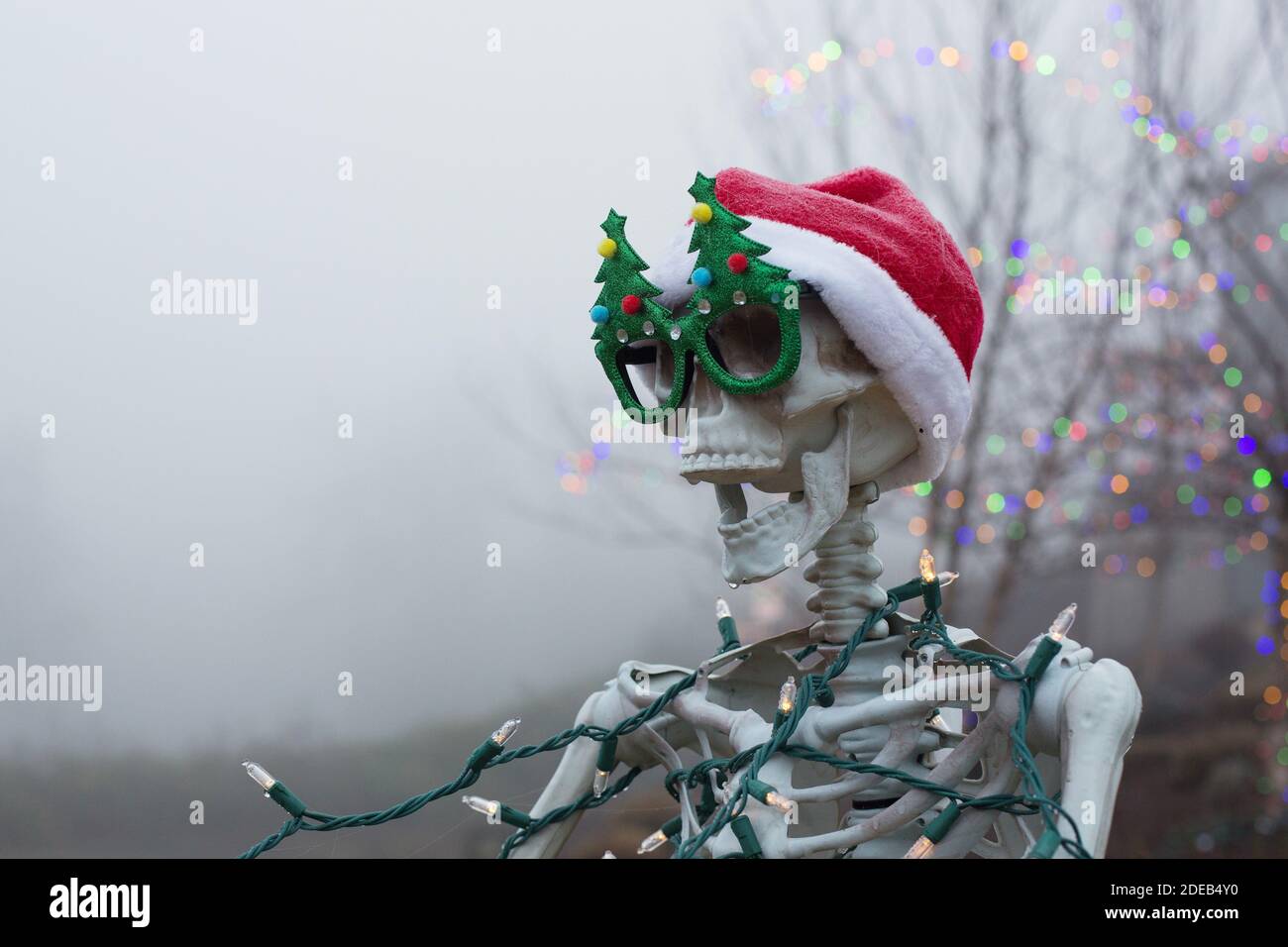 A life size skeleton decorated for Christmas in Eugene, Oregon, USA ...