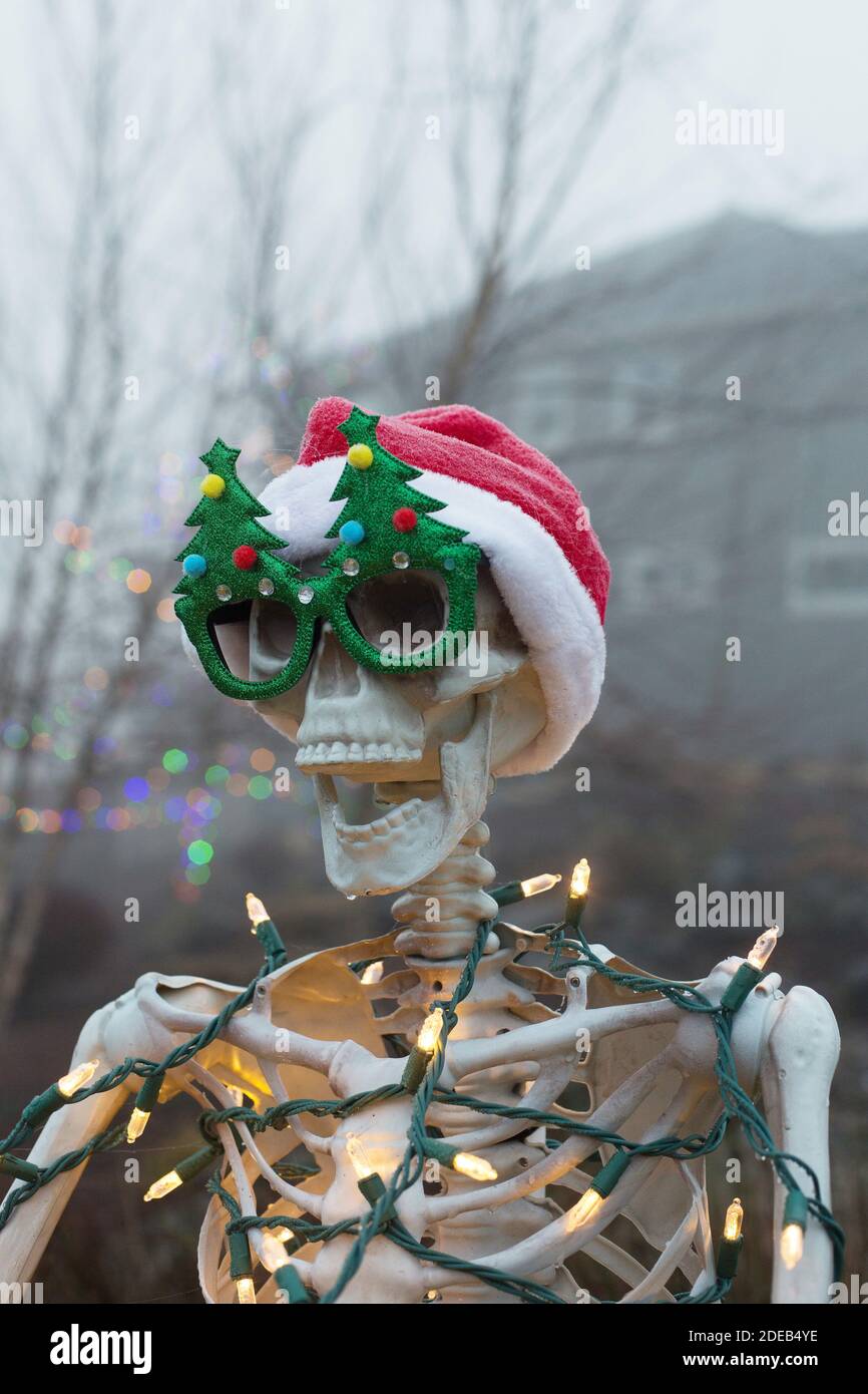 A life size skeleton decorated for Christmas in Eugene, Oregon, USA ...