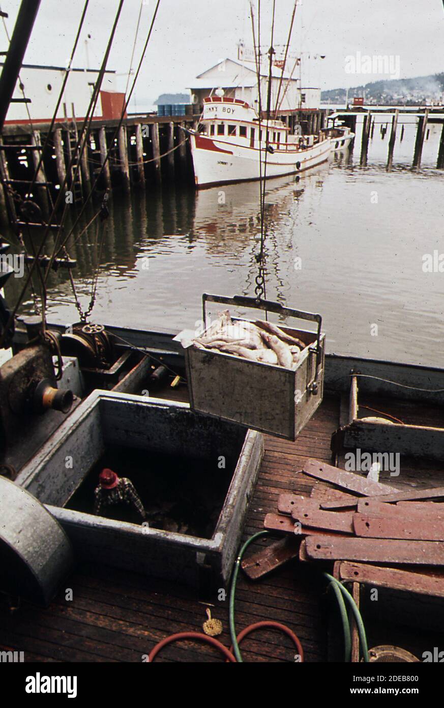 1970s Photos (1972) - Seafood processing plant (Oregon; possibly ...