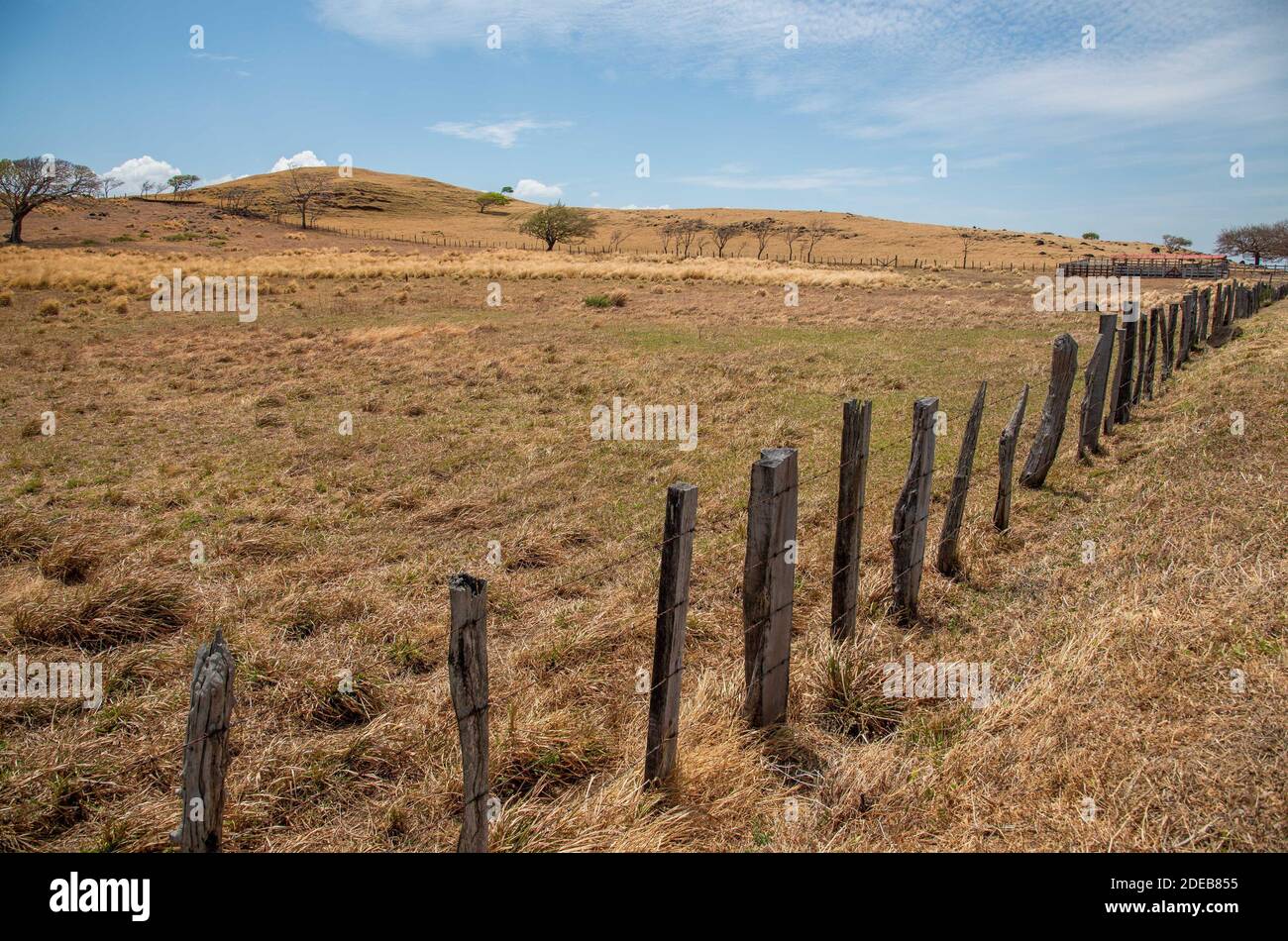 Dry landscape in central Costa Rica, Central America on March, 2019 ...