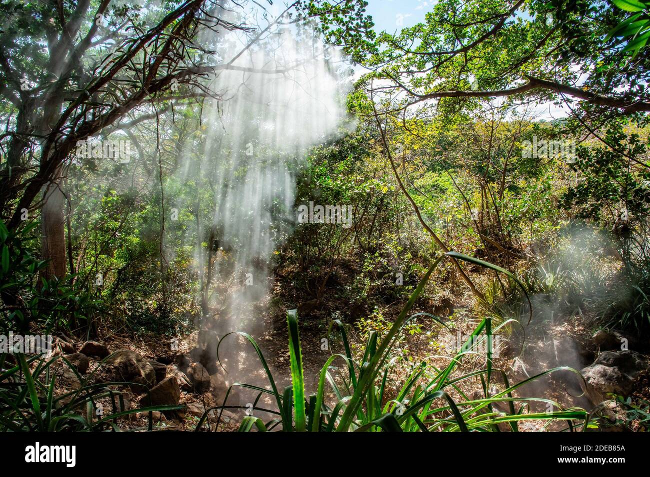 Bubbling mud pits and volcanic fumaroles seen at Volcano Rincon de la ...