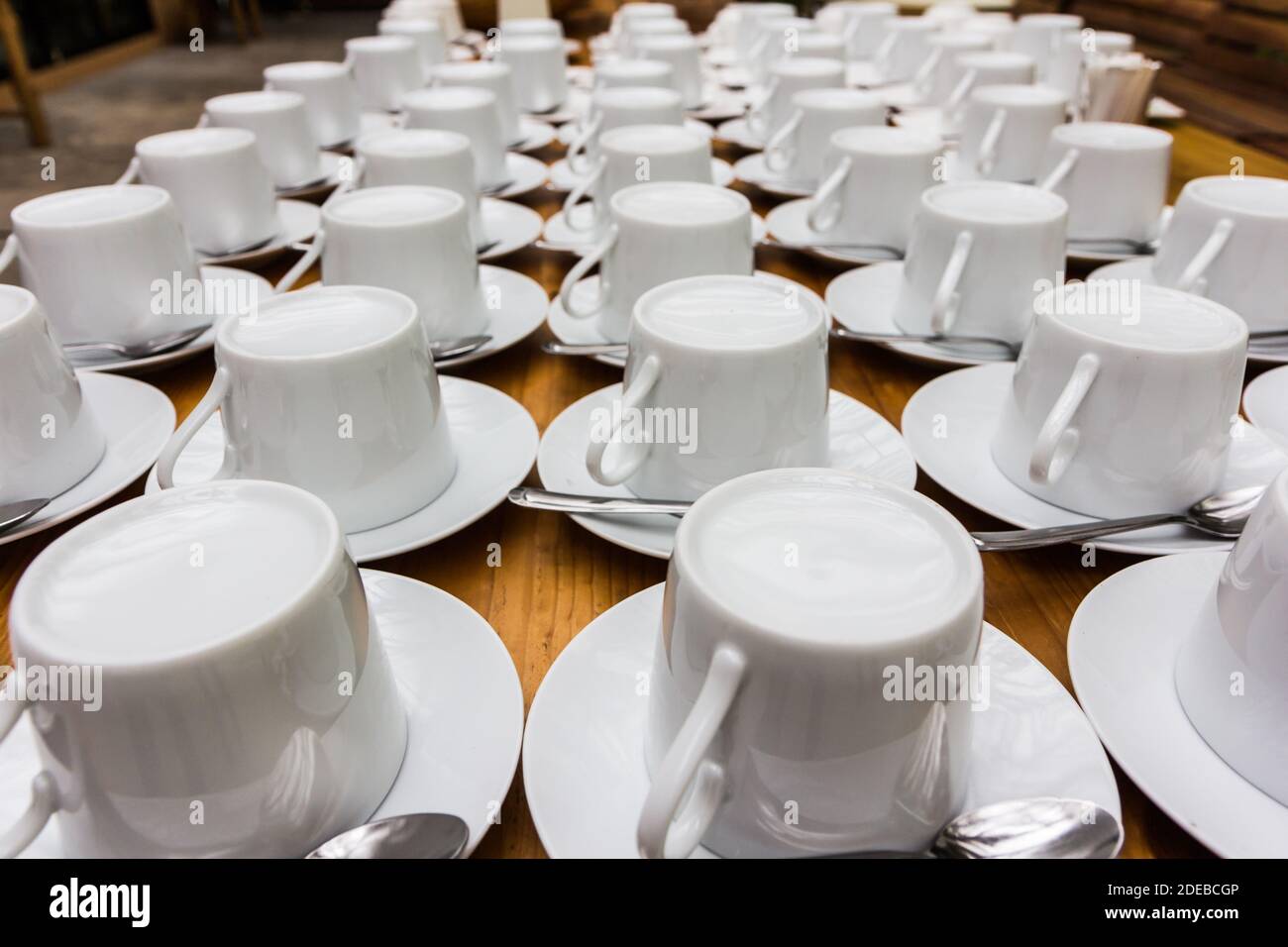 Many rows of pure white cup of coffee and saucer for seminar Stock ...