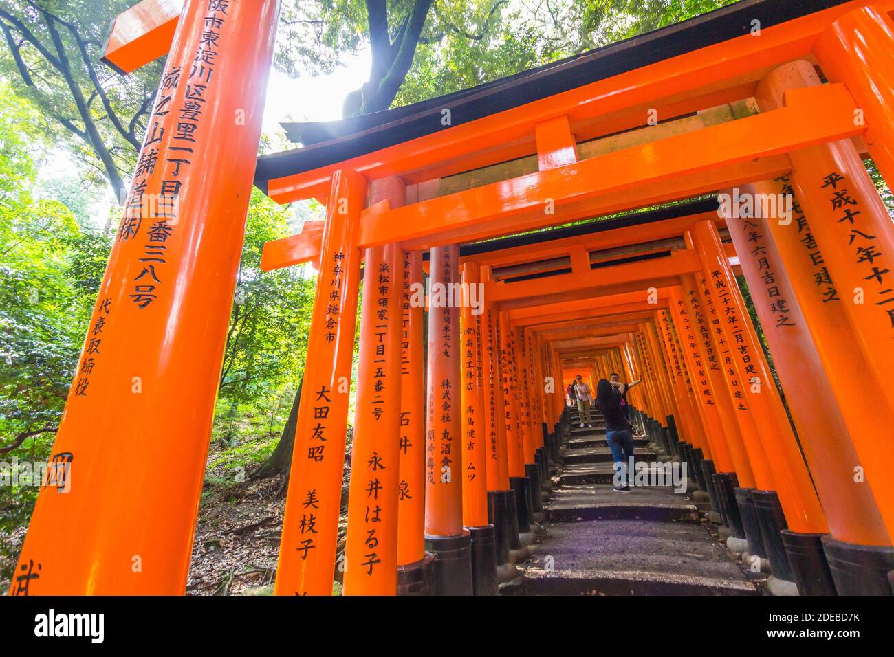 The sacred Fushimi Inari Taisha in Kyoto, Japan with its series of ...