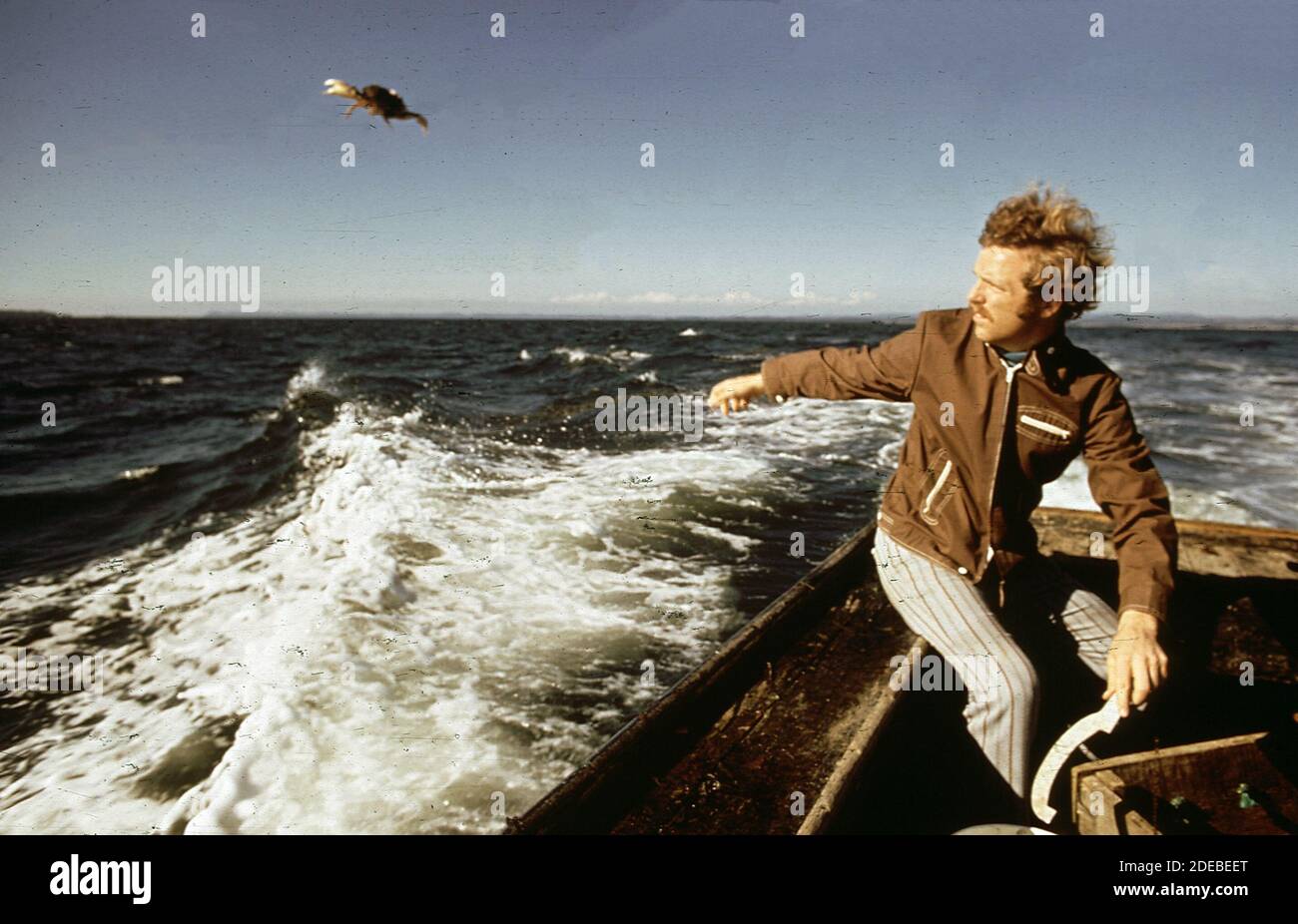 Archival crabbing hi-res stock photography and images - Alamy