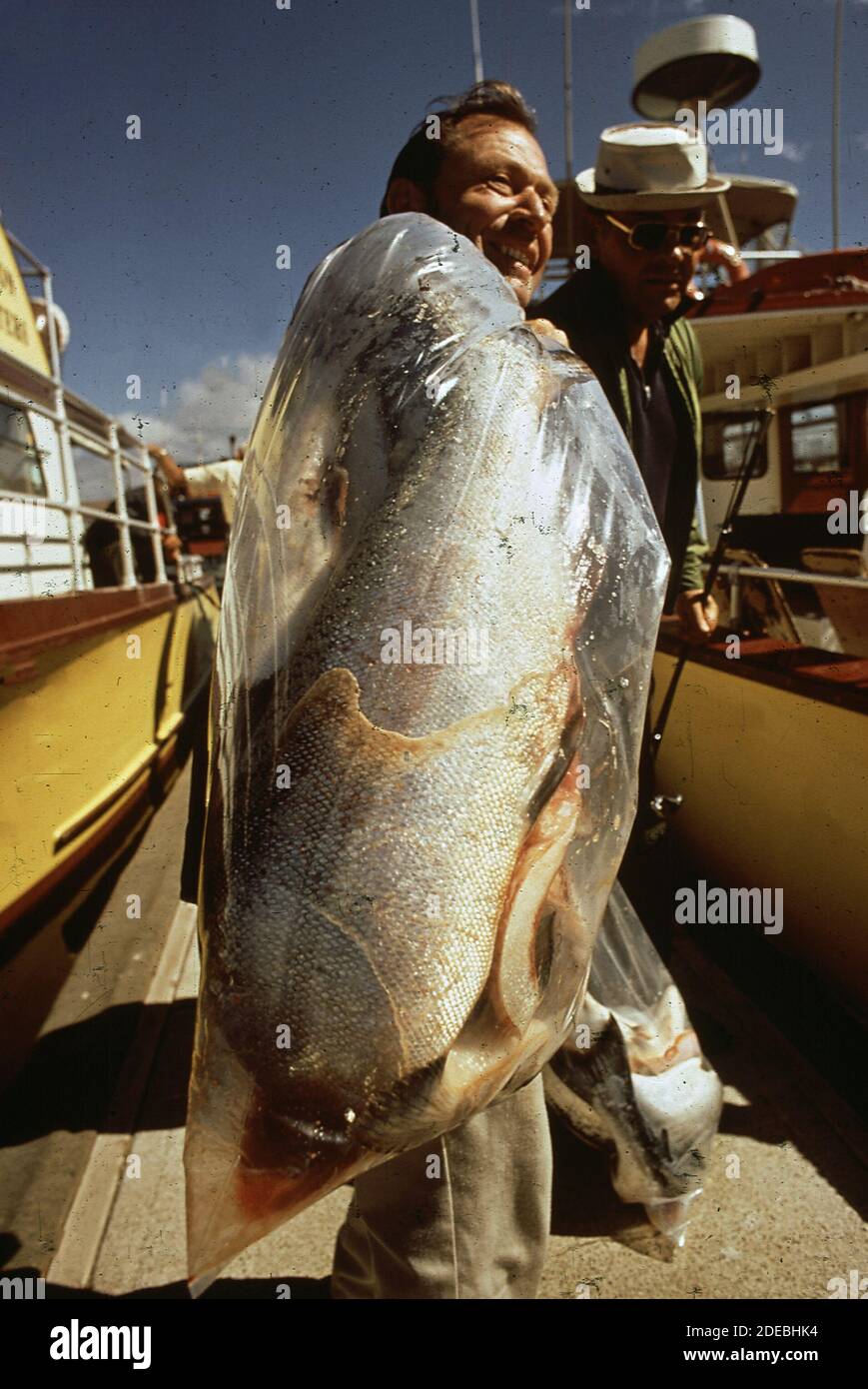 "1970s Photos (1972) - Fisherman show off their catch in the ""salmon ...