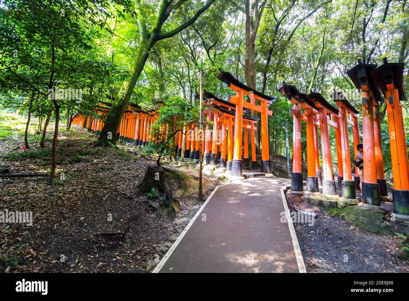 The sacred Fushimi Inari Taisha in Kyoto, Japan with its series of ...