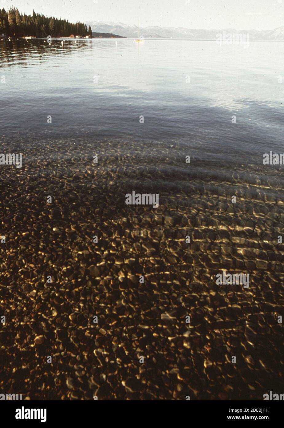 1970s Photo (1972) - Gradations Of Algae And Silt From Clear Shore Line ...