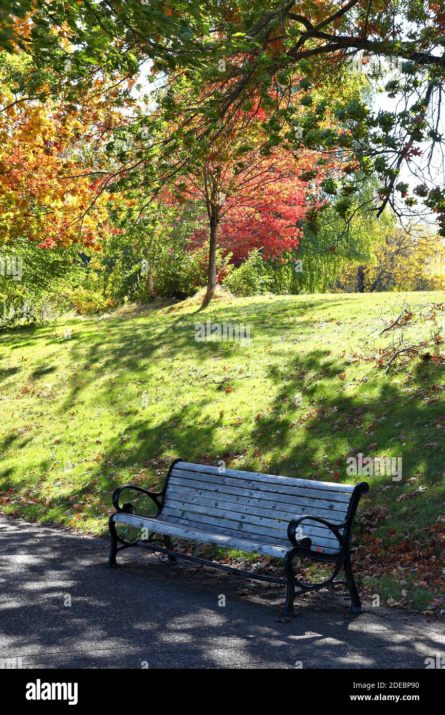 Park green grass bench hi-res stock photography and images - Alamy