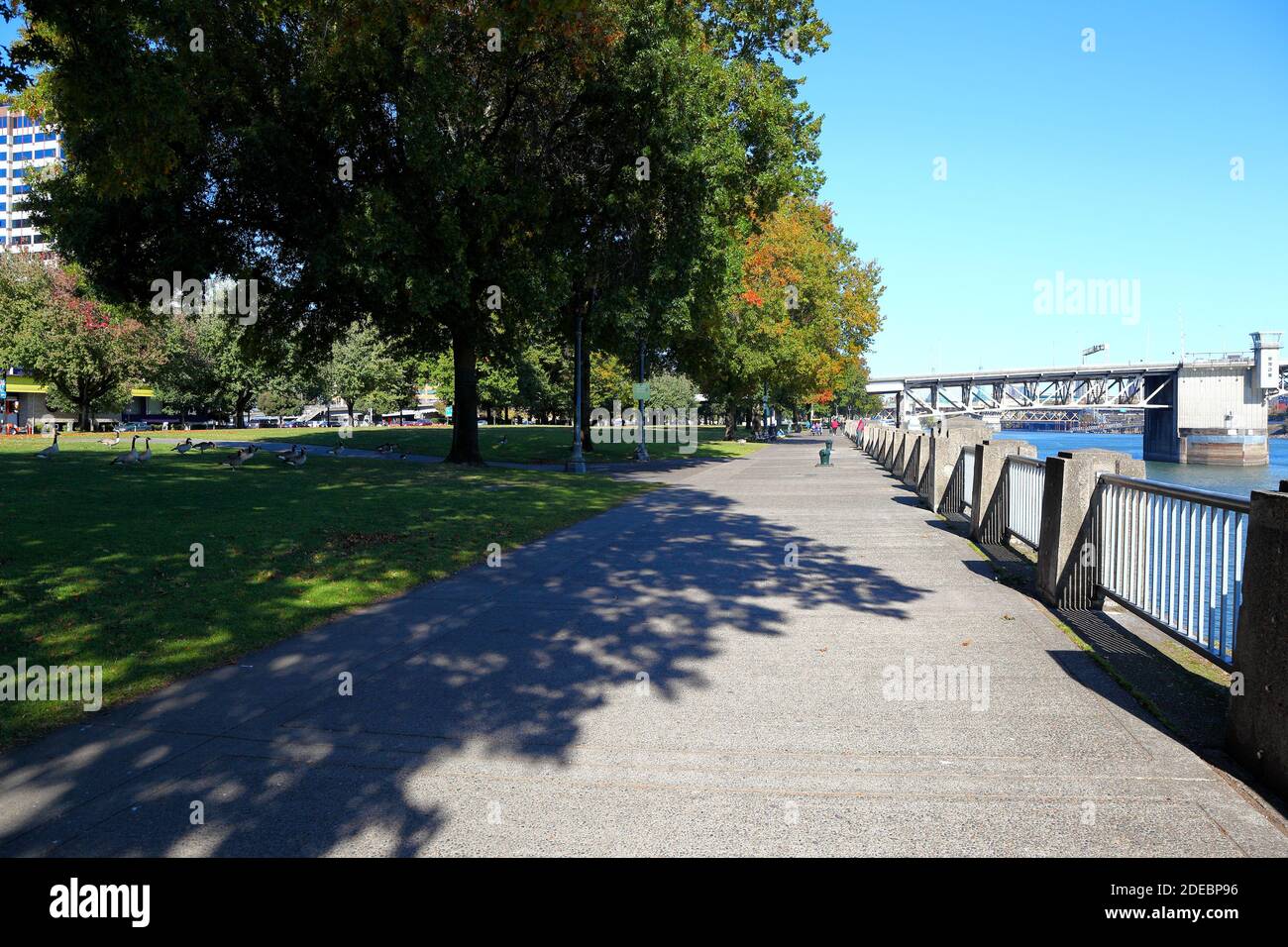 Waterfront park trail portland hi-res stock photography and images - Alamy