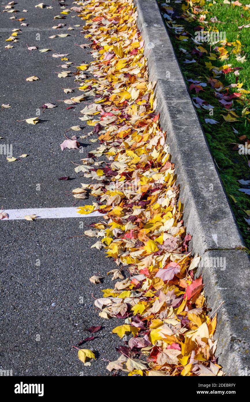 Parking lot in autumn hi-res stock photography and images - Alamy