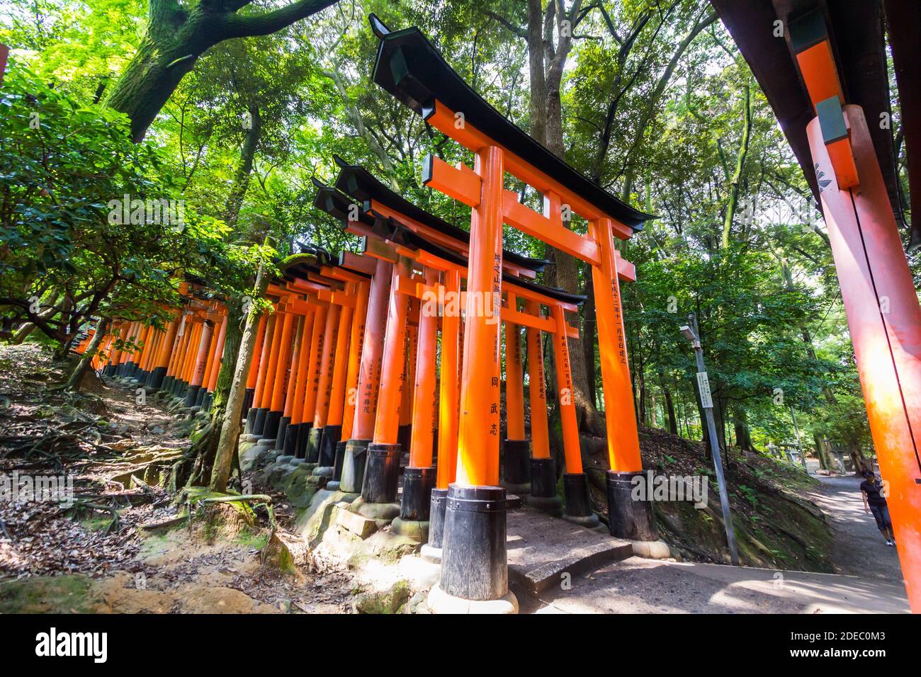 The sacred Fushimi Inari Taisha in Kyoto, Japan with its series of ...