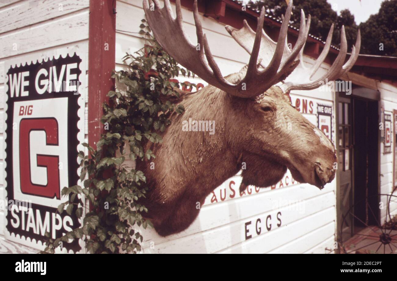 "1970s Photo (1972) - Storefront in Ben Wheeler, on state highway 64 ...