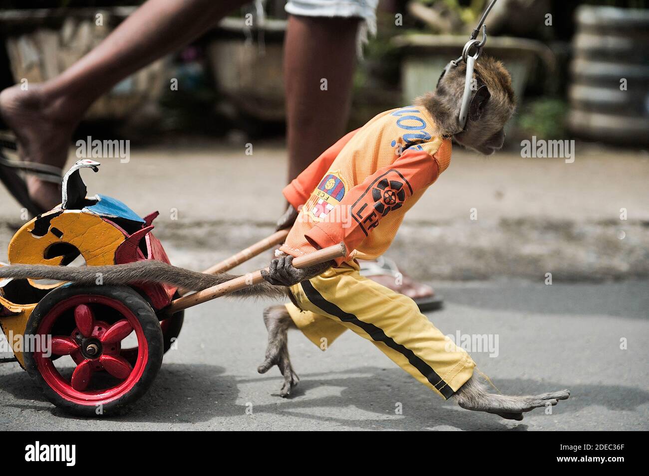 Topeng monyet show hi-res stock photography and images - Alamy