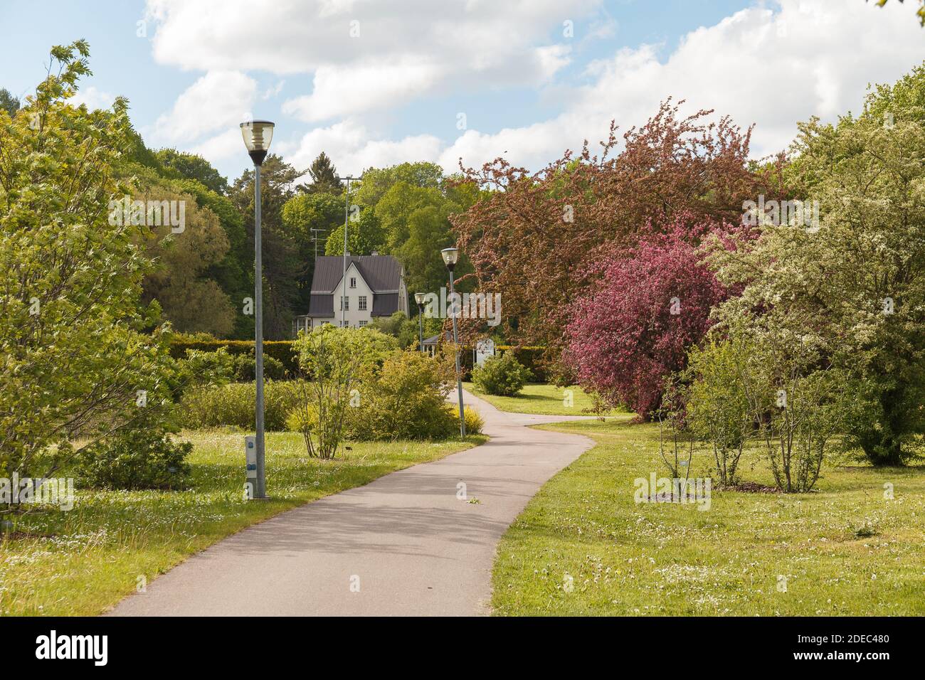 Blooming garden park. Talinn botanical park, Estonia Stock Photo - Alamy