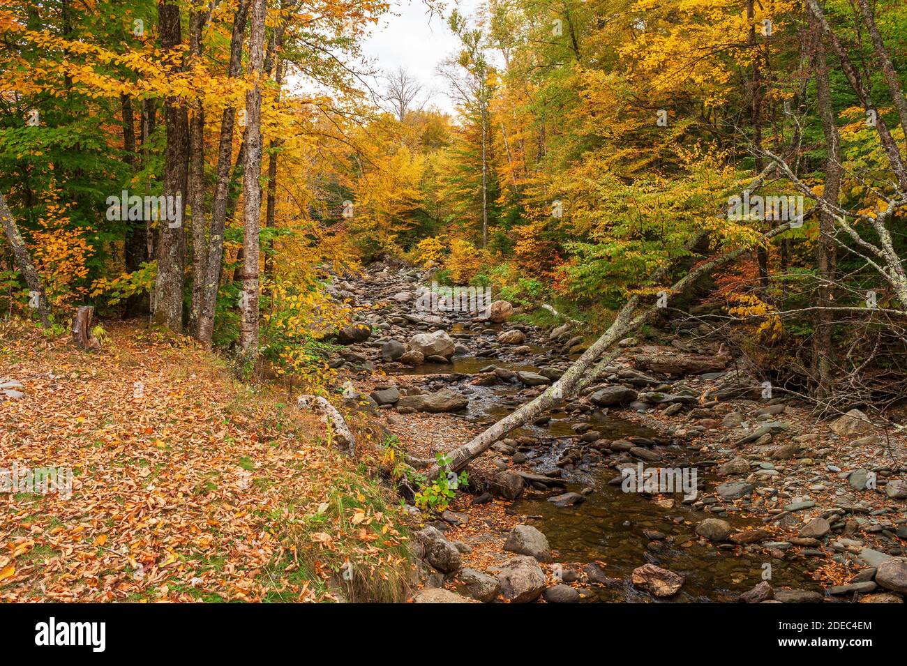 Picturesque scenery of a rocky creek through a northern hardwood ...