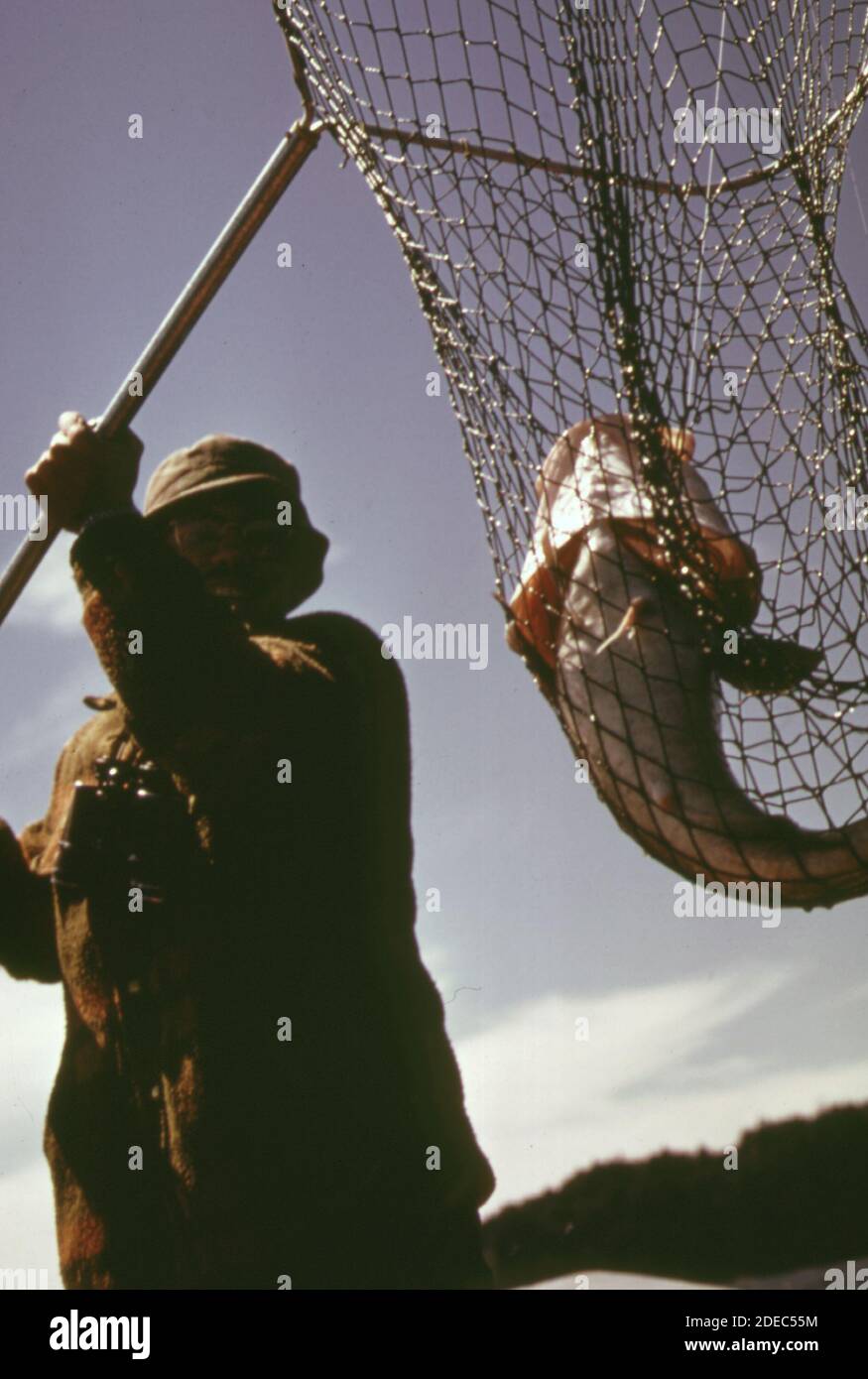 True cod fishing hi-res stock photography and images - Alamy