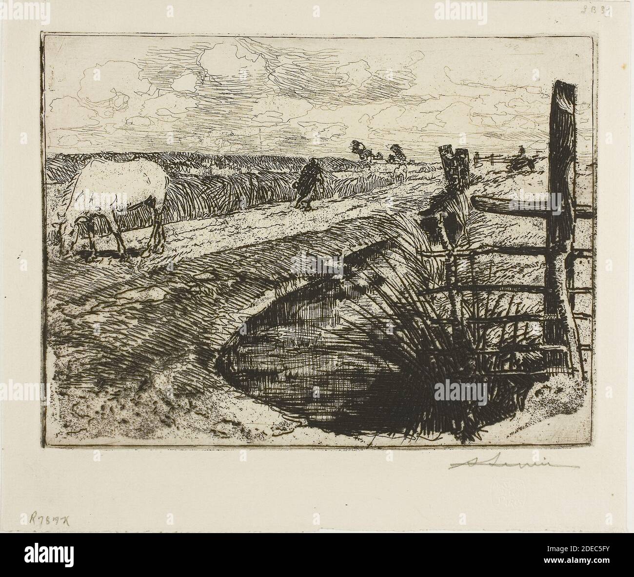 Zinc cream hi-res stock photography and images - Alamy