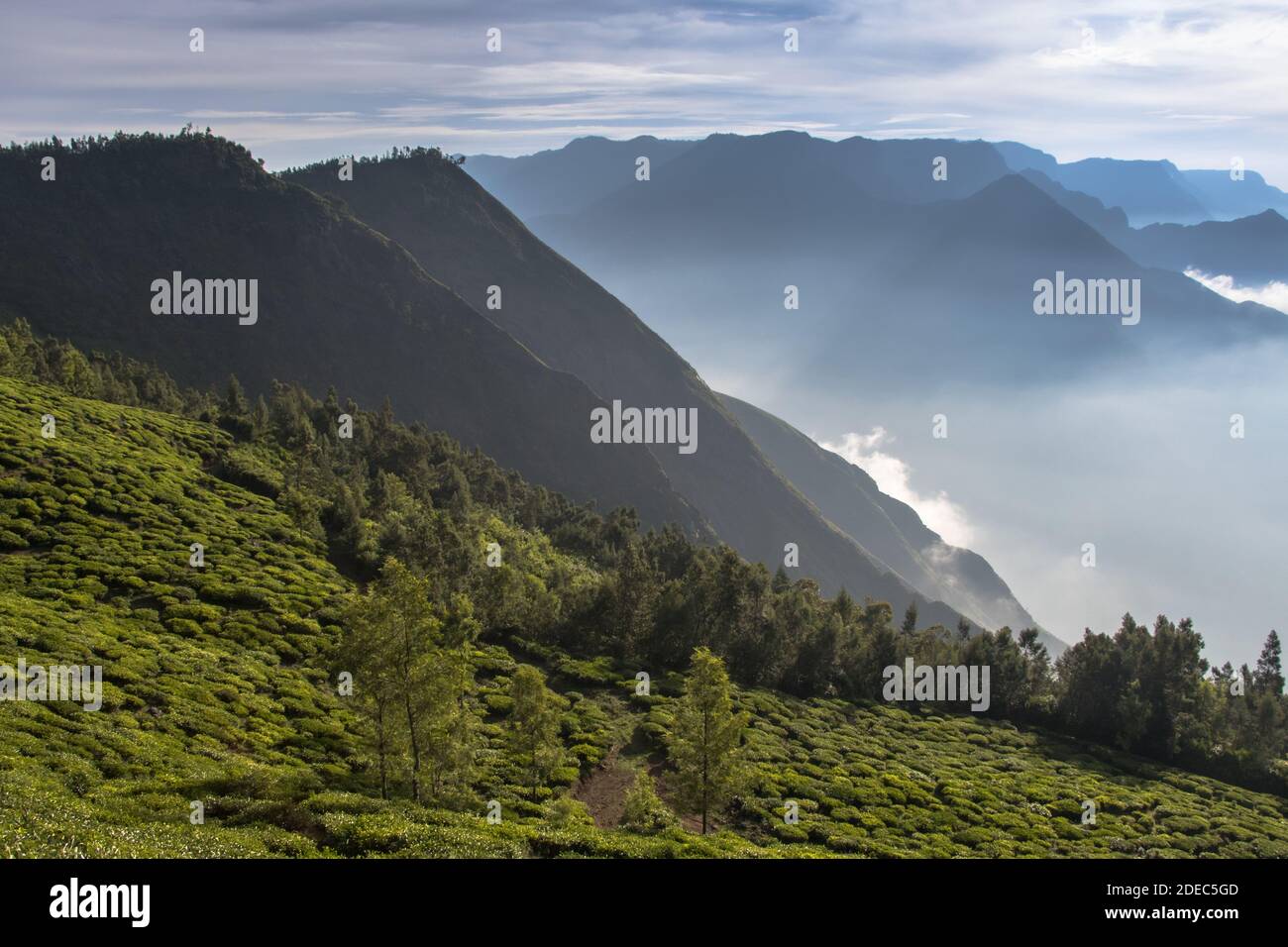 A beautiful landscape view of south India Kerala with bright morning ...