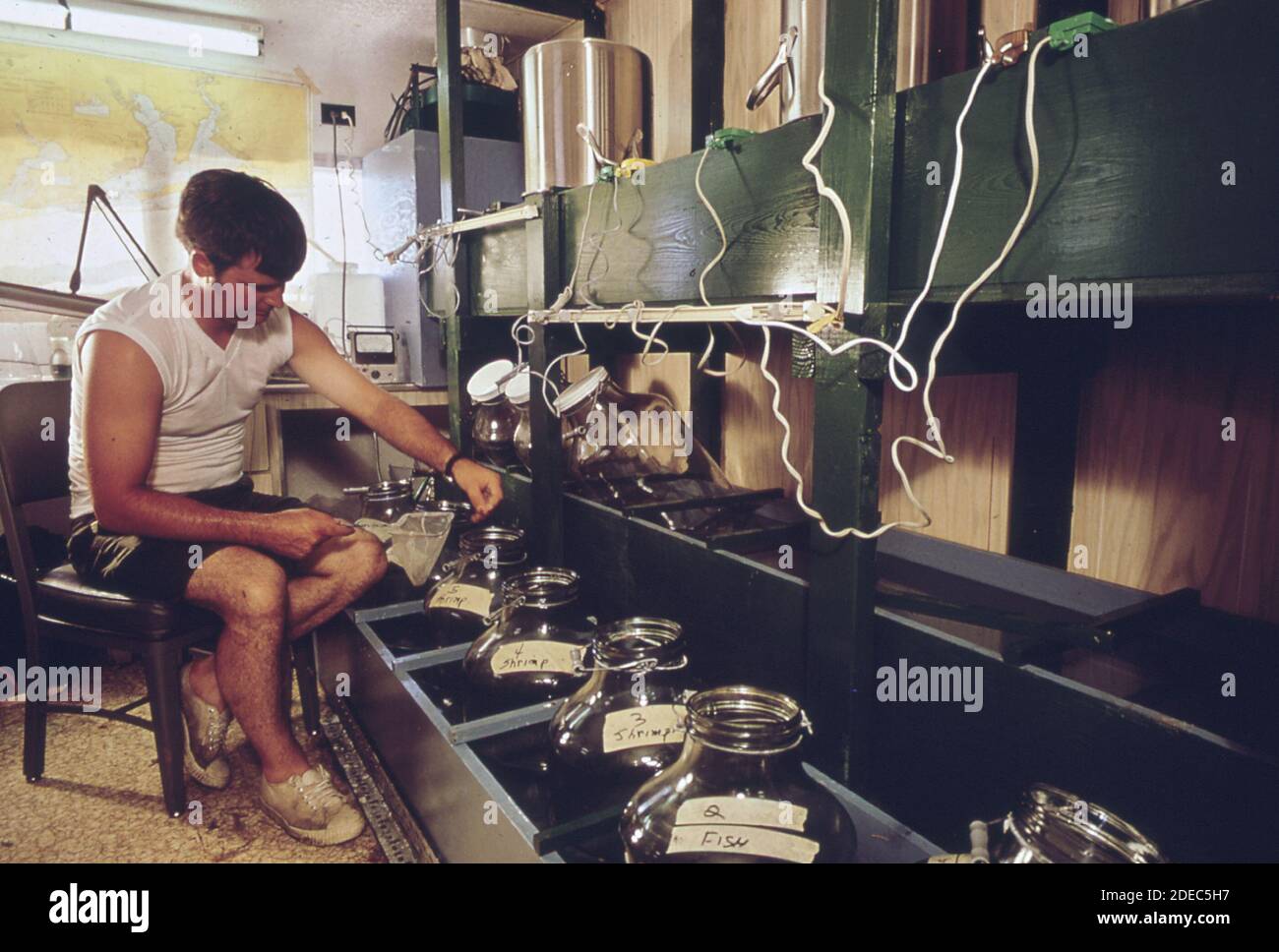 1970s Photo (1972) - An aquatic biologist is conducting a static ...