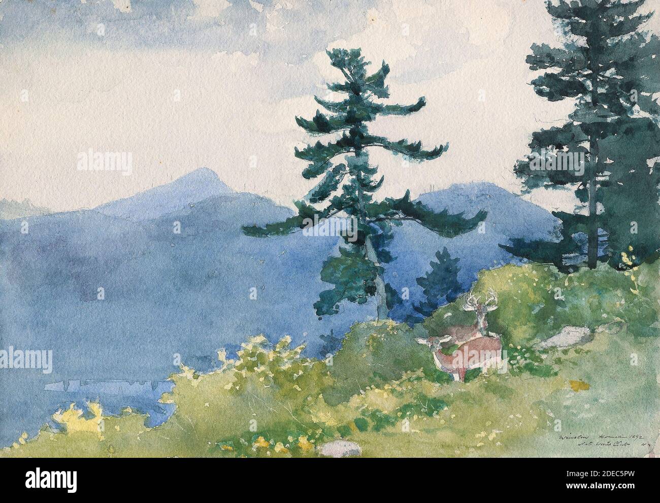 Watercolor; with rewetting; blotting and scraping; over graphite; on ...