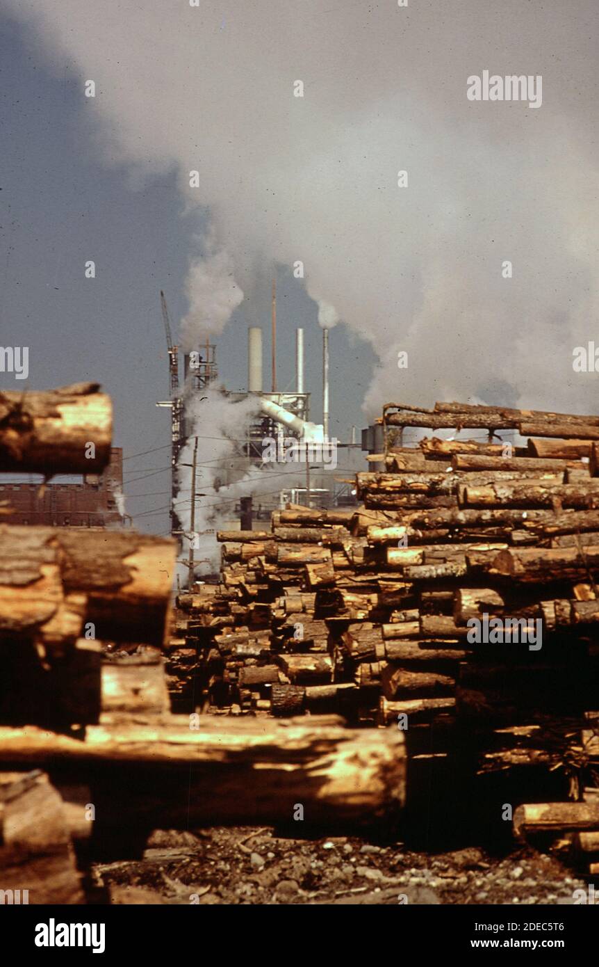 1970s st regis pulp mill hi-res stock photography and images - Alamy
