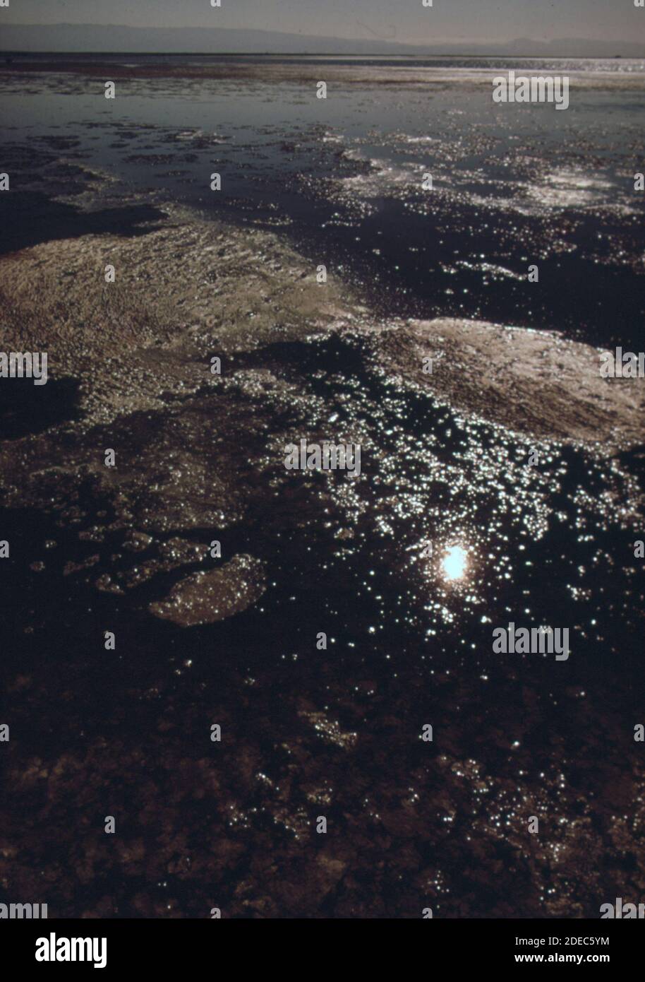 1970s Photo (1972) - Leslie salt ponds (San Francisco Bay area Stock ...