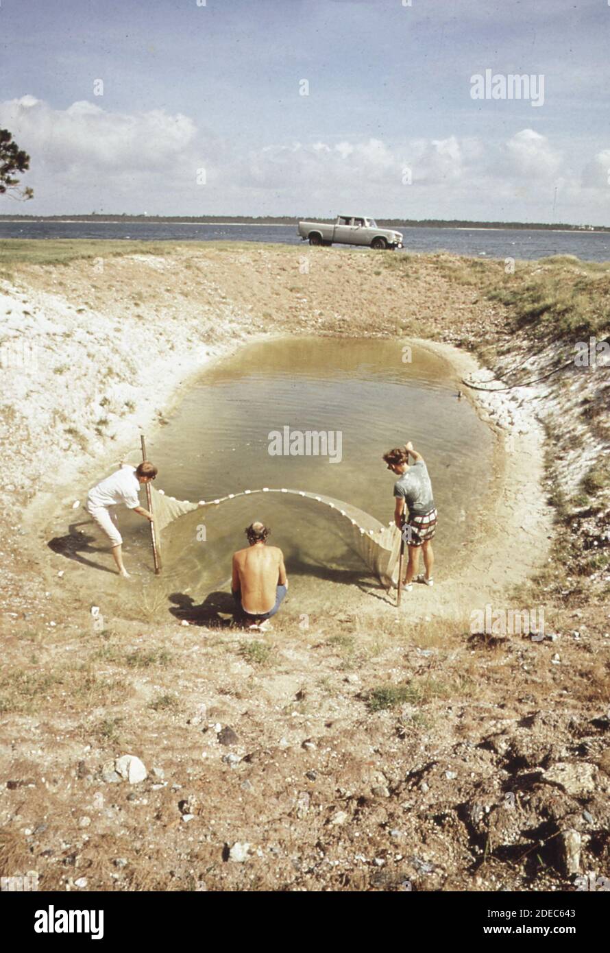 Seining in culture pond hi-res stock photography and images - Alamy Seining in culture pond hi-res stock photography and images - Alamy