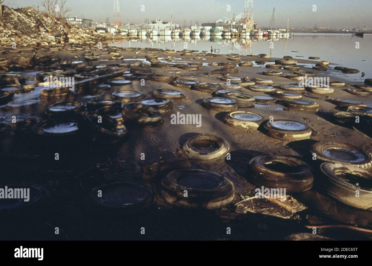 Trash and old tires litter the shore at the middle branch of Baltimore ...
