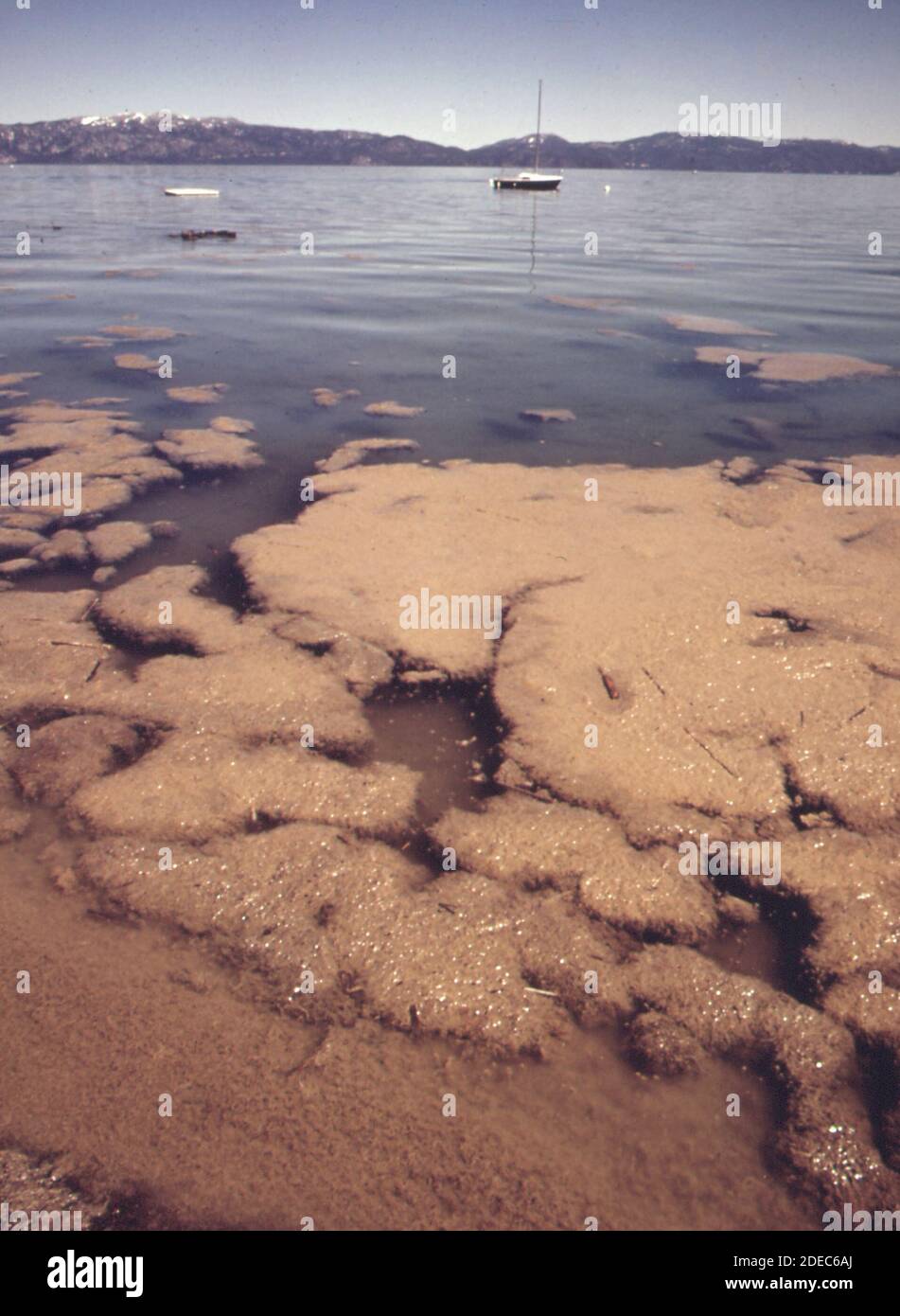1970s Photo (1972) - Scum On Lake (Lake Tahoe area Stock Photo - Alamy