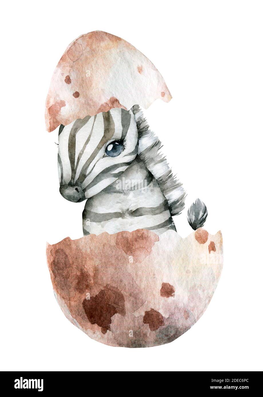 Watercolor cartoon isolated cute baby zebra animal with flowers ...