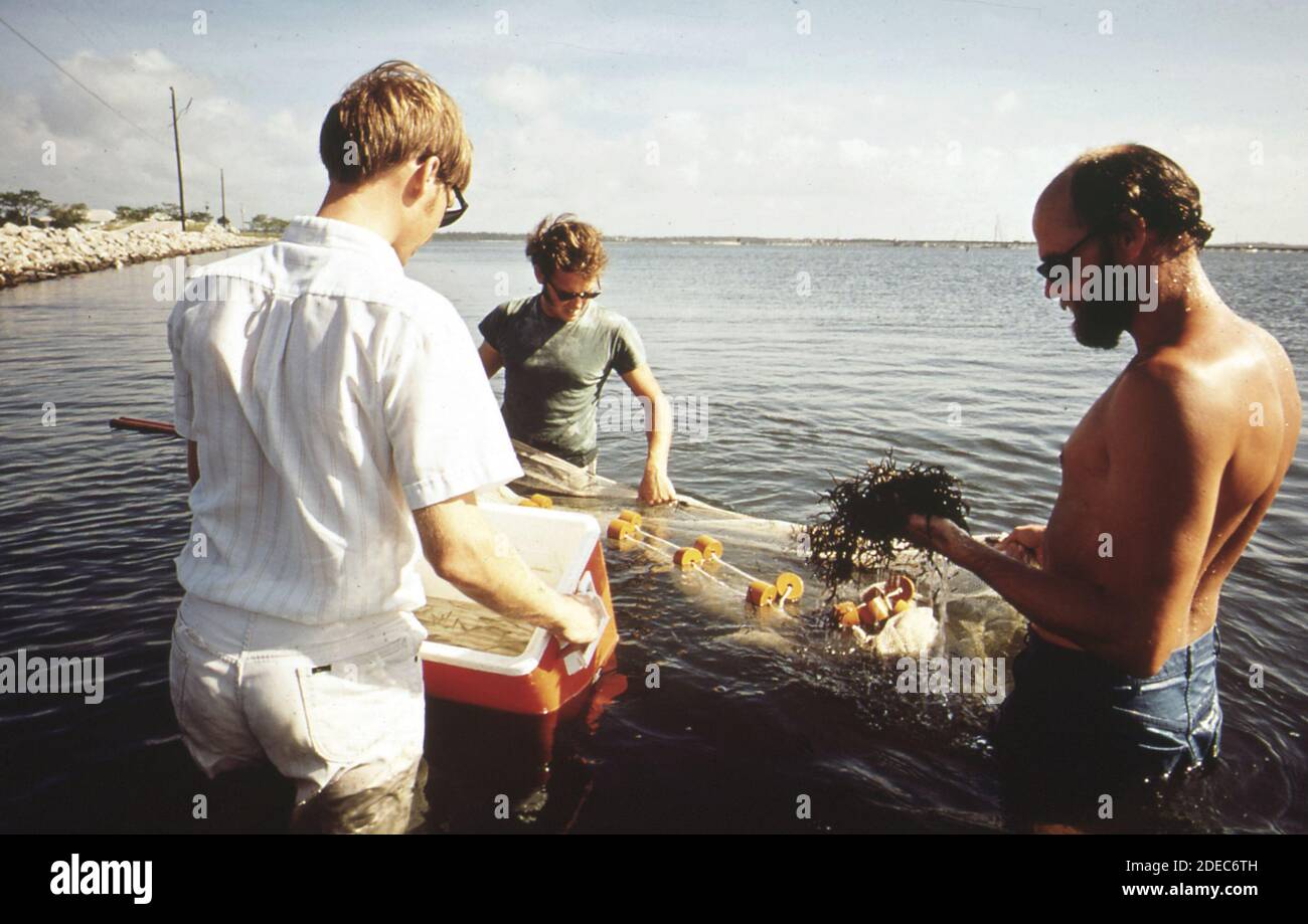 1970s seining for fish hi-res stock photography and images - Alamy