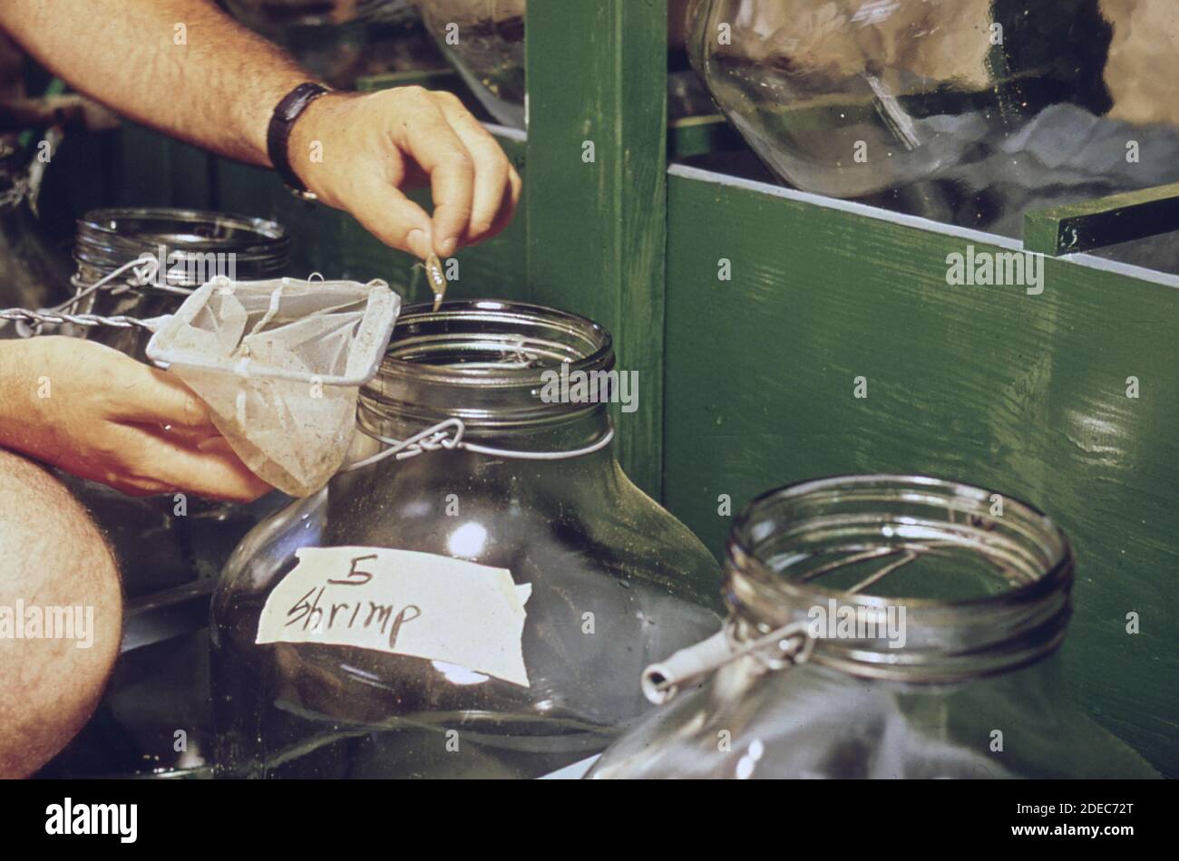 1970s Photo (1972) - Mobile lab of the Southeast Water Laboratory in ...